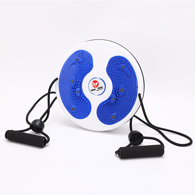 Twist Board With Pulling Tubes – www.gymgear.cn